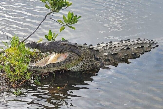 Tour to Cozumel Eco Nature Escape and Otoch Mayan Experience - FAQ