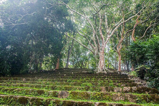 Tour to Dzibanche and Kohunlich with Transportation and 3 Course Meal Included - The Role of the Guides and the Experience