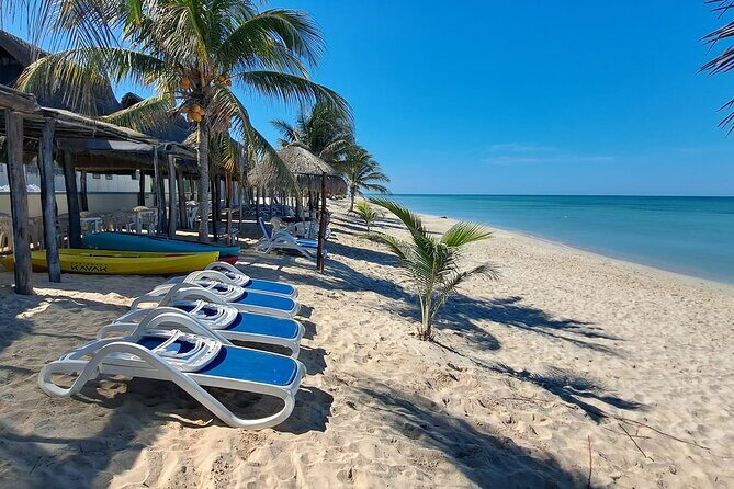 Tour to Edzna and Tortugas Bay - An In-Depth Look at the Tour Experience