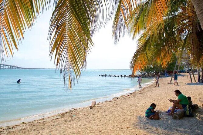 Tour to Edzna and Tortugas Bay - Practical Tips for Making the Most of Your Day