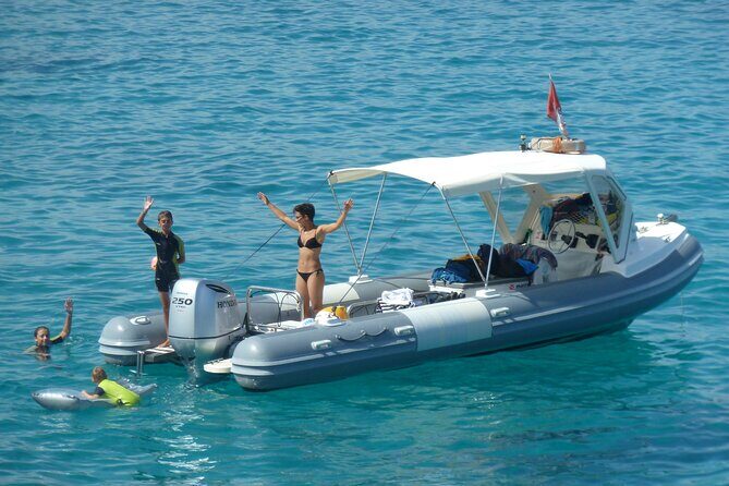 Tour to Figarolo Island with the possibility to observe dolphins - The Value of This Tour