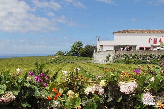 Tour to Furnas and Terra Nostra Garden - full day - Frequently Asked Questions