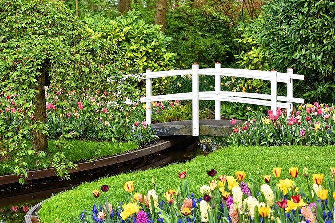 Tour to Giethoorn and Keukenhof Tulip Fields from Amsterdam - The Detailed Itinerary