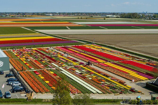 Tour to Giethoorn and Keukenhof Tulip Fields from Amsterdam - FAQ