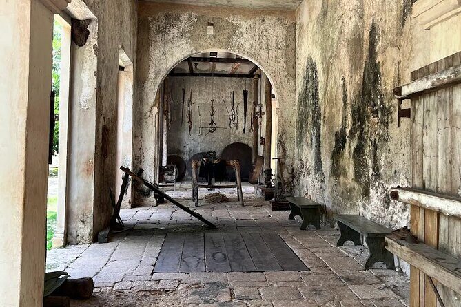 Tour to Hacienda Mucuyché, 2 cenotes & Oxkintok from Merida - Final Thoughts: Is This Tour for You?