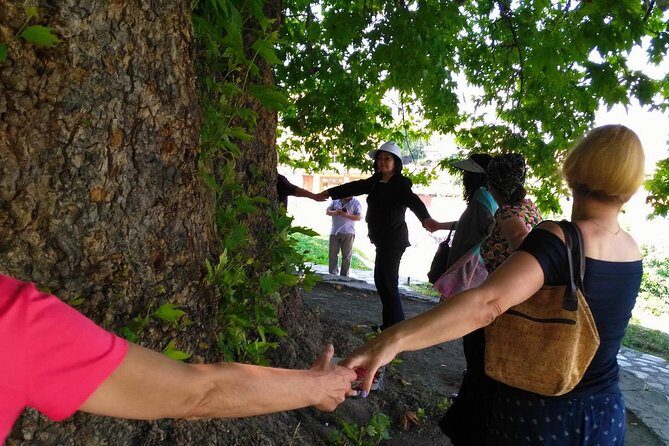 Tour to Kakheti. Sighnaghi Bodbe Monastery Tsinandali Telavi Winery Gombori - FAQs