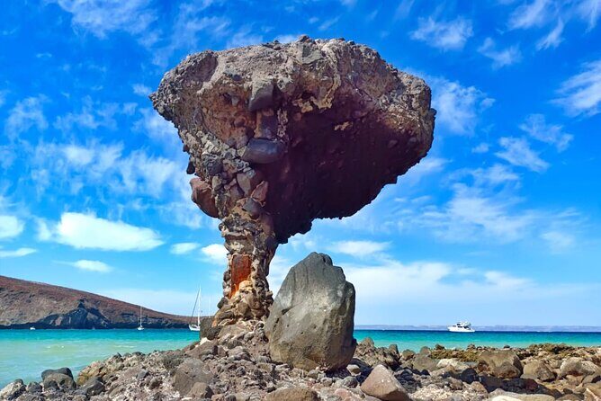 Tour to La Paz Playa Balandra Malecón and Todos Santos - Key Points
