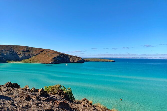 Tour to La Paz Playa Balandra Malecón and Todos Santos - Discovering the Beauty of Balandra Beach