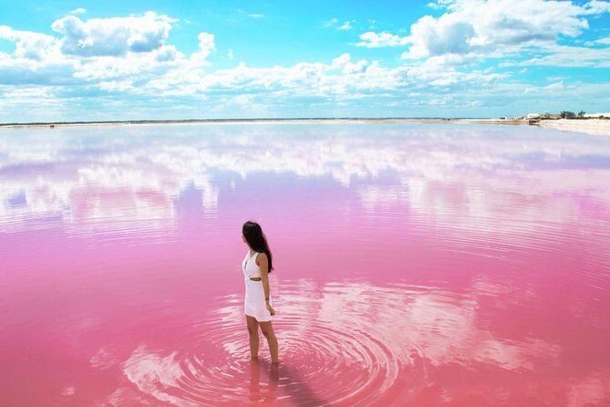 Tour to Las Coloradas Pink Waters and Boat Ride in Rio Lagartos with Lunch. - A Deep Dive into the Tour Experience