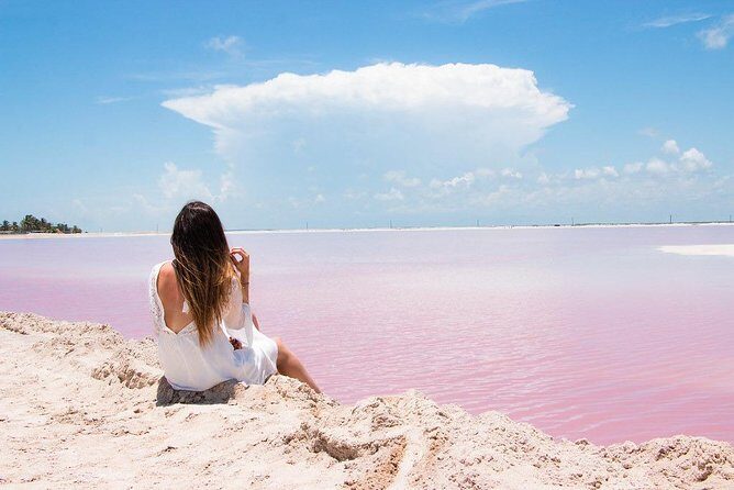 Tour to Las Coloradas Pink Waters and Boat Ride in Rio Lagartos with Lunch. - Final Thoughts