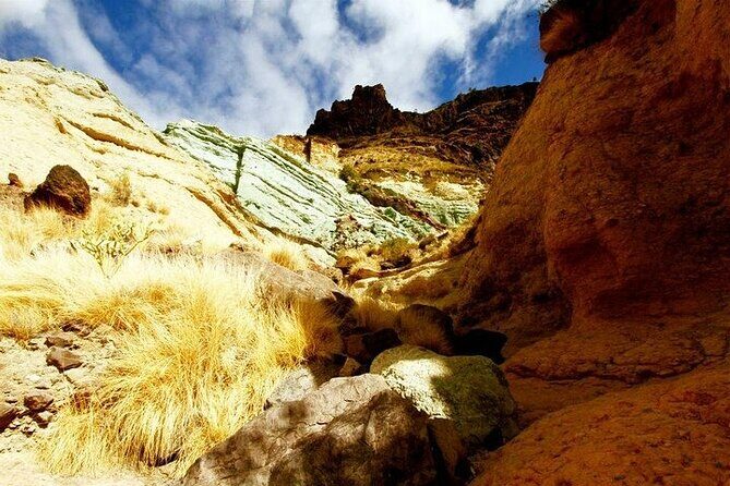 Tour to Mogán, La Aldea & Las Canteras - Big Island tour - An In-Depth Look at the Tour Experience