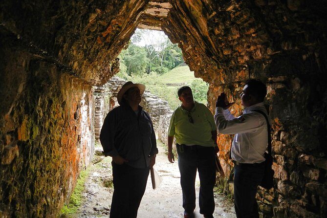 Tour to Palenque and Cascada de Misol Ha - Who Is This Tour Best For?