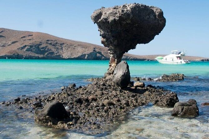 Tour to Playa La Paz from Cabo San Lucas - Key Points