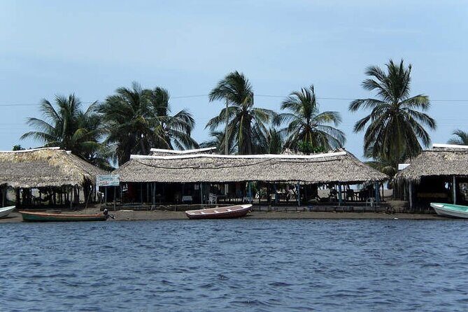 Tour to Puerto Arista and Boca del Cielo from San Cristobal - Key Points