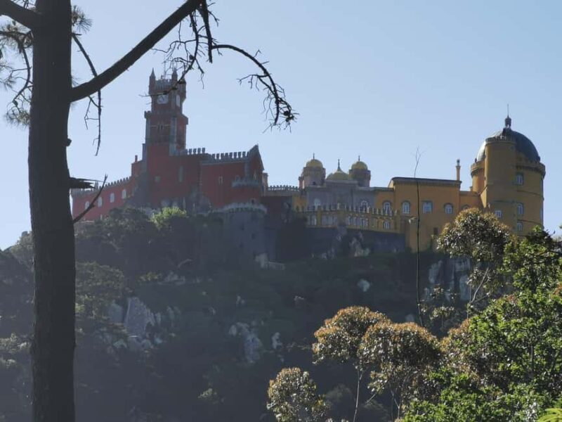 Tour to Sintra Cabo da Roca and Cascais Half Day - Authentic Experiences & Customer Insights