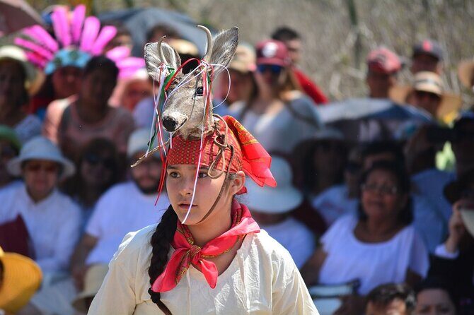 Tour to Teotihuacan by Panoramic Bus with Food Option - Transportation, Comfort, and Convenience