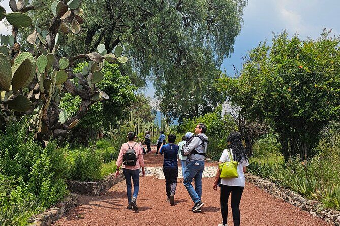 Tour to Teotihuacan the city of the gods - FAQs