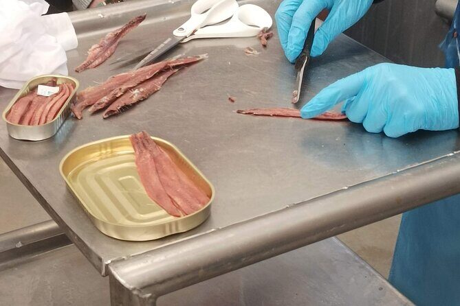 Tour to the Anchovies Factory and Santoña Marshes with Tasting - Key Points  