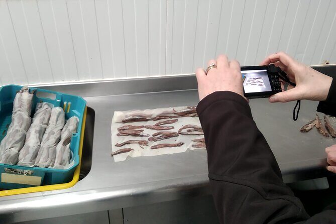Tour to the Anchovies Factory and Santoña Marshes with Tasting - FAQs