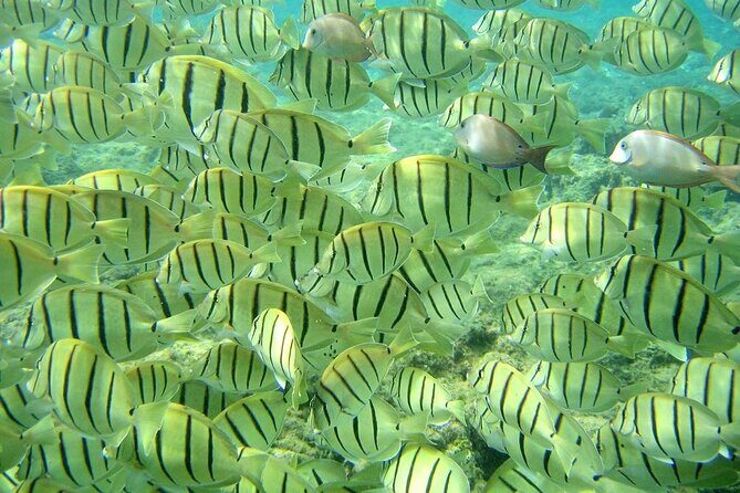 Tour to The Arch and Lover's Beach (optional) from Cabo - Final Thoughts