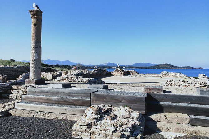 Tour to the archaeological site of Nora - from Cagliari - An In-Depth Look at the Nora Archaeological Tour