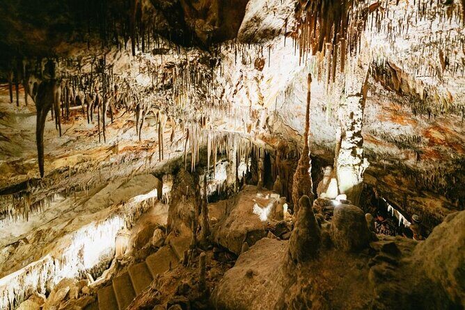 Tour to the Drach Caves from the south of the island - Key Points