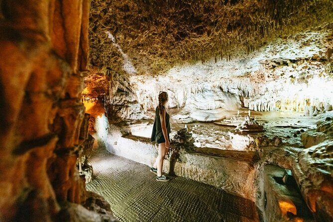Tour to the Drach Caves from the south of the island - Insights from Real Travelers