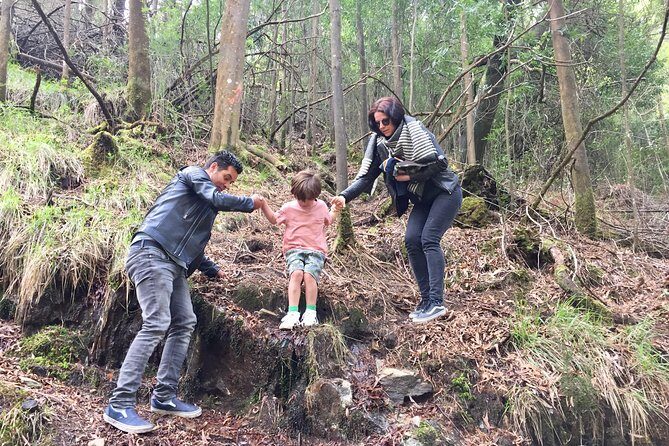 Tour to the Waterfalls in 4x4 full day - The Real Highlight: Cascata do Pincho Waterfalls