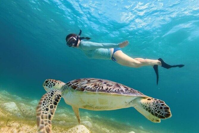 Tour to Tulum and cenote with swimming with turtles from Riviera Maya - Final Thoughts: Who Is This Tour Perfect For?