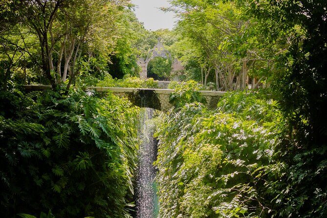 Tour to Uxmal and Hacienda Mucuyché included - The Sum Up
