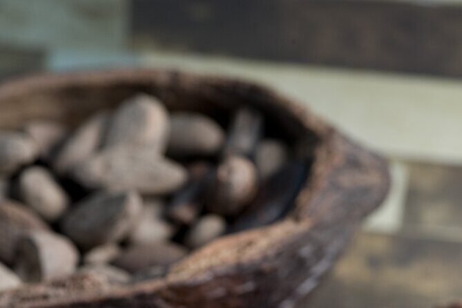 Tour to Uxmal + Choco Story Chocolate Museum - Authentic Insights from Travelers