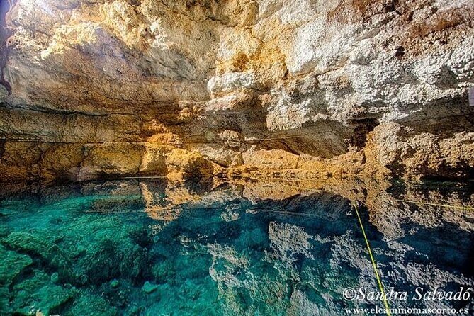 Tour Tulum Coba Cenote and Playa del Carmen (4 in 1) - Food and Drink: Whats Included and Tips