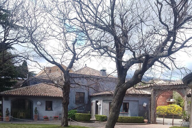 Tour two wineries of Etna wine tasting and lunch - Starting with Mount Etna’s Craters