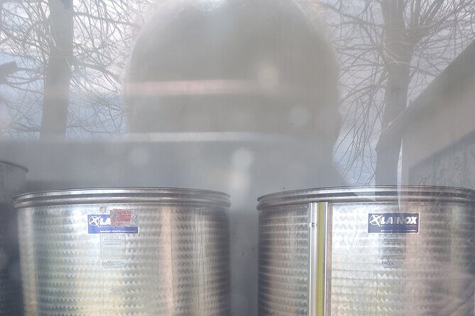 Tour two wineries of Etna wine tasting and lunch - Final Thoughts