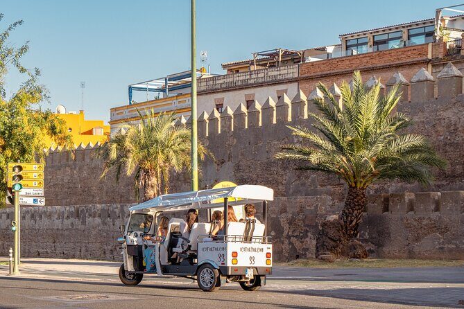 Tour Welcome Seville with Local Guide in Eco Tuk Tuk Private - Welcome Seville with a Local Guide in Eco Tuk Tuk – a Detailed Review