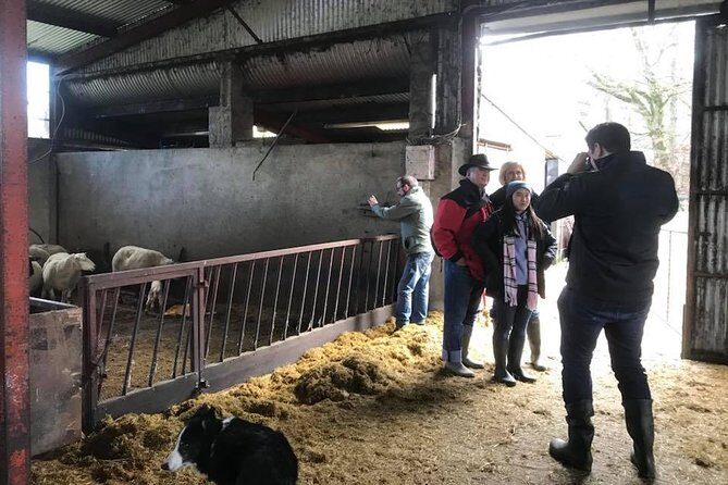 Tour Wicklow Mountains National Park in a limo with private guide - FAQ