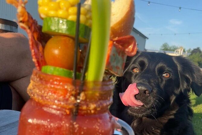 Tour Wine, Beer, Cider, Spirit - Something for Everyone Tour - In Closing