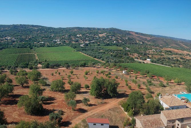 Tour & Wine tasting - Authentic Algarve Flavours by Quinta da Tôr - What Reviewers Love Most