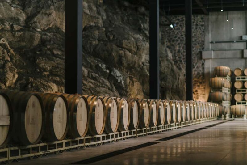 Tour & Wine Tasting San Miguel Vineyard / San Miguel Experience - Key takeaways