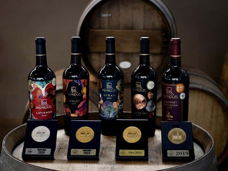 Tour & Wine Tasting San Miguel Vineyard / San Miguel Experience - What to Expect from the San Miguel Vineyard & Wine Tasting Tour