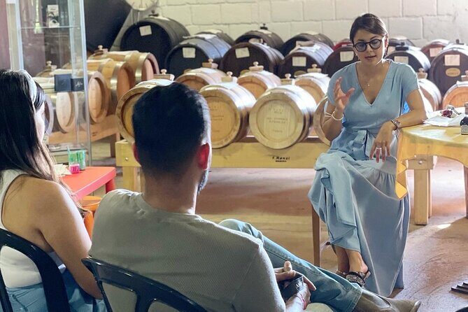 Tour with a tasting of the authentic Traditional Balsamic vinegar - Discovering Traditional Balsamic Vinegar in Modena: A Detailed Review