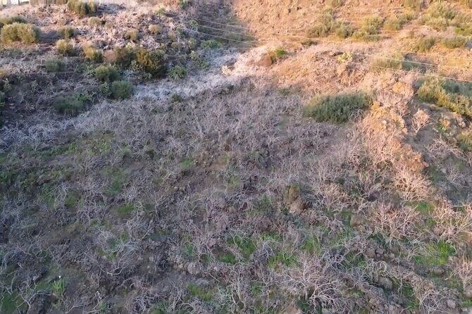 tour with tasting in the Bronte pistachio plantations - Practical Details and Logistics