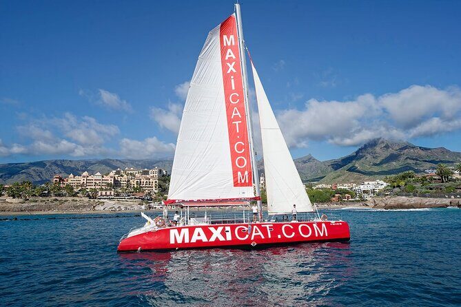 Tour with Whale and Dolphin Watching plus food included - Key Points