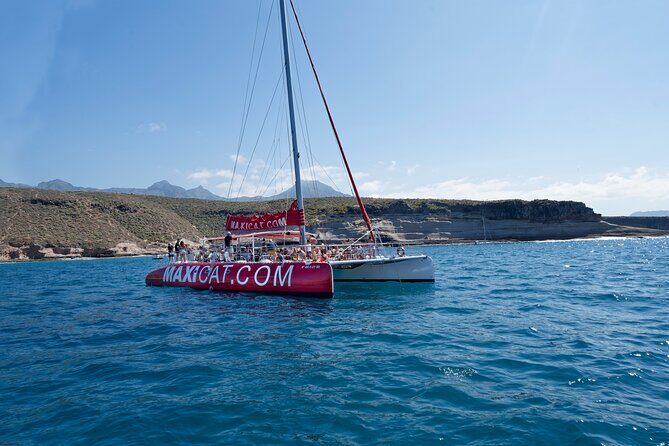 Tour with Whale and Dolphin Watching plus food included - An In-depth Look at the Itinerary and Experience