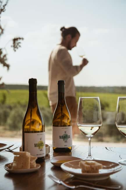 Tour with Wine and Olive Oil Tasting - An Introduction to Mainova: Portugal’s Green Gem