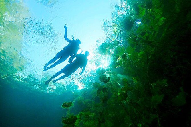 Tour Xenotes Advenure From Cancun & Playa del Carmen - Food, Drinks, and Comfort