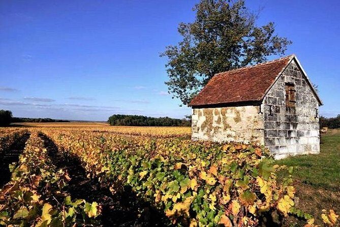 Touraine-Chenonceau private tour - Stop 1: Chateau de Chenonceau