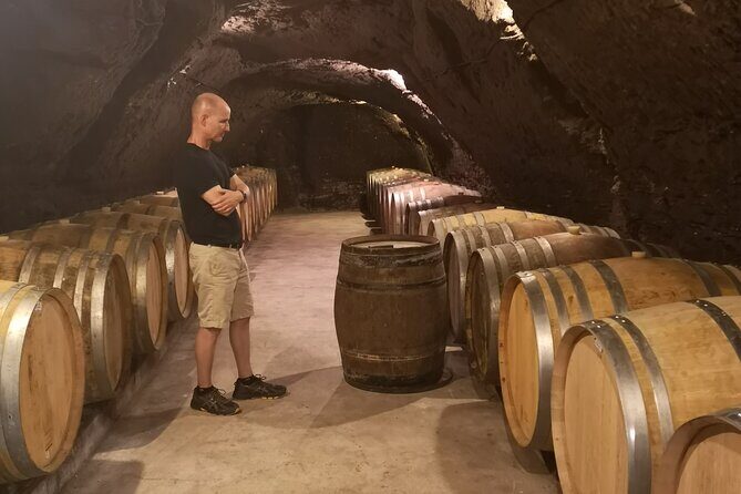 Touraine-Chenonceau private tour - Potential Drawbacks