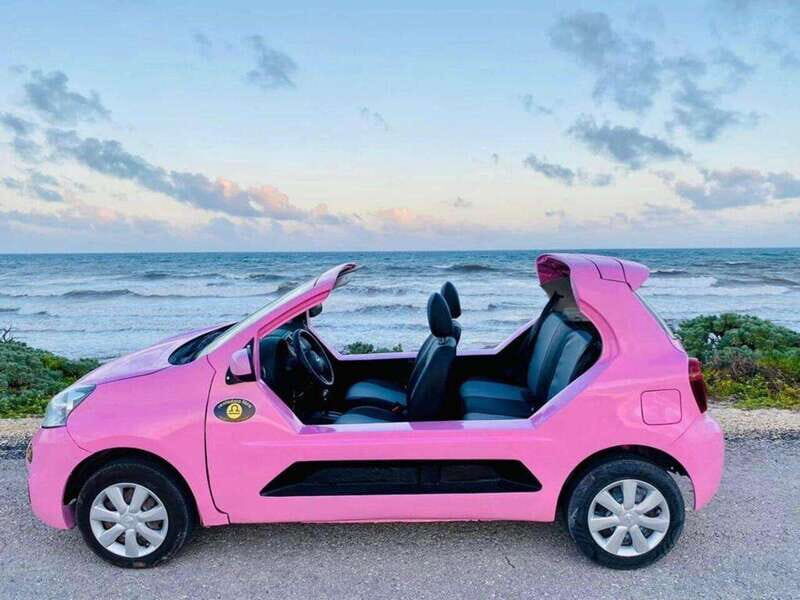 Tourist Buggy Tour of Cozumel Island - Chankanaab - Key Points