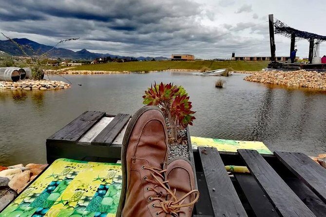 Tourist guide in the Wine Country (Valle de Guadalupe) Ensenada - An In-Depth Look at This Ensenada Wine Tour